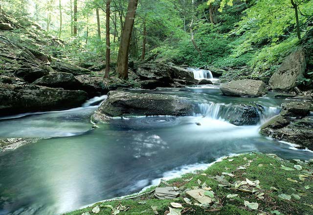 23/17—Stream of Life - Hipsters of the Coast : Hipsters of the Coast
