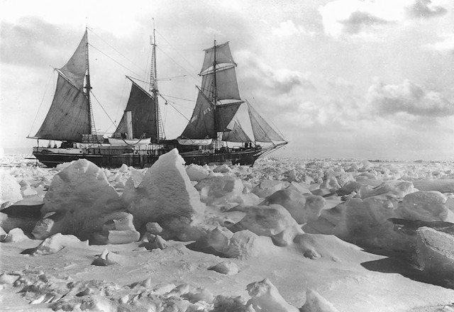 Drawing Live—Level Up! Endurance Get!