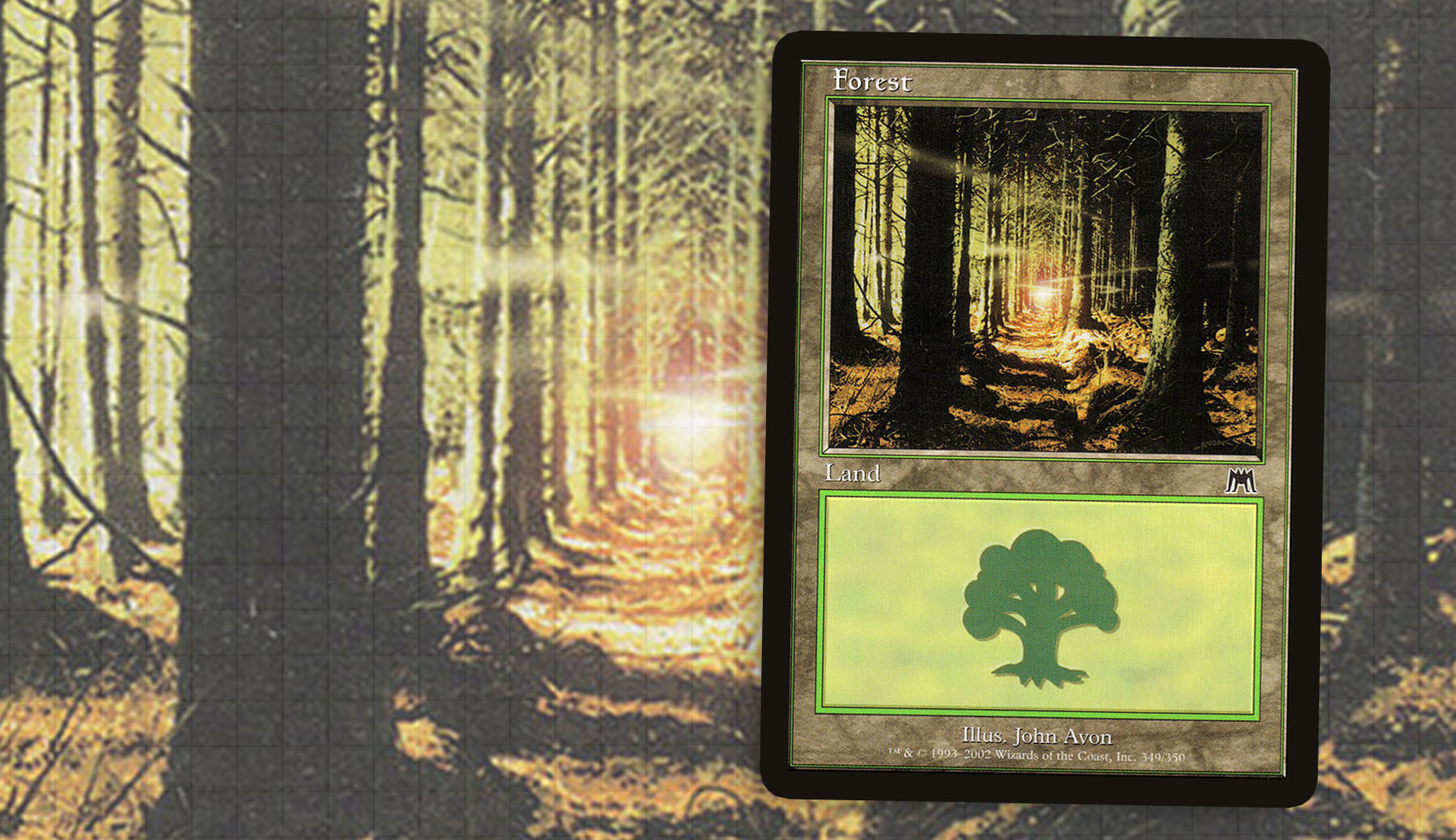 My Favorite Forests - Hipsters of the Coast : Hipsters of the Coast