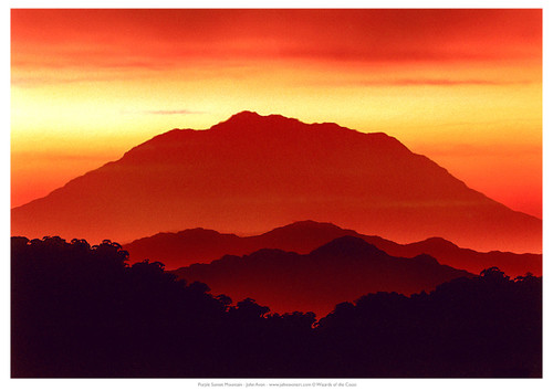 How to Collect Dominaria Remastered, Part One: Pack Distribution and Basic Lands